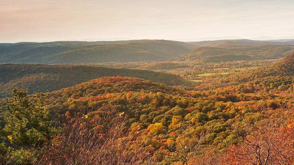 Forestry Program - Choctaw Nation of Oklahoma