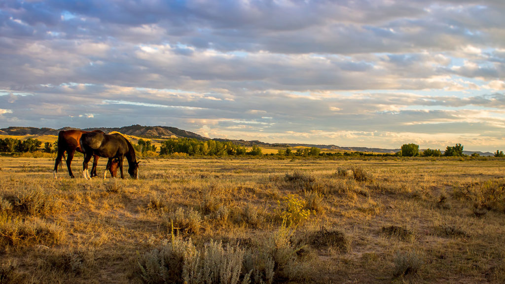 Land Title and Records - Choctaw Nation of Oklahoma