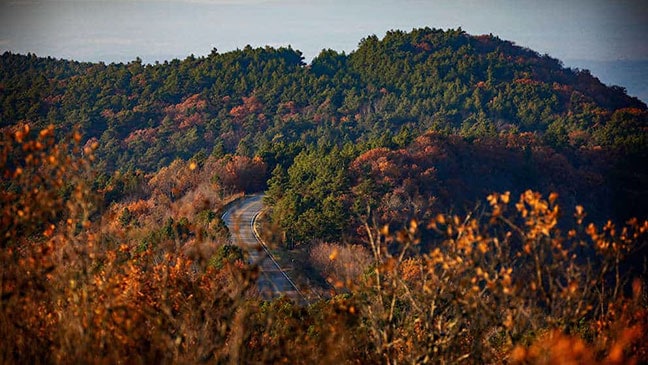 Formations of Contemporary Choctaw Nation - Choctaw Nation of Oklahoma