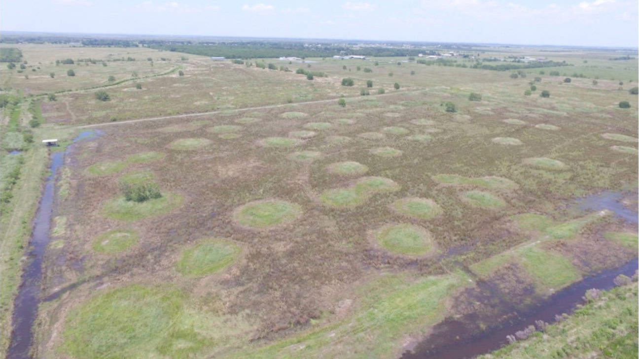 "Pimple Mounds," "Mima Mounds," "Prairie Mounds," oh my! - Choctaw ...