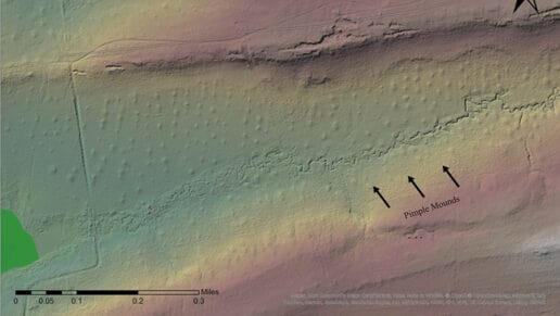 "Pimple Mounds," "Mima Mounds," "Prairie Mounds," oh my! - Choctaw ...