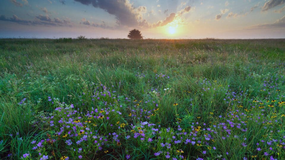 Springtime is a beautiful time for the Nation - Choctaw Nation of Oklahoma