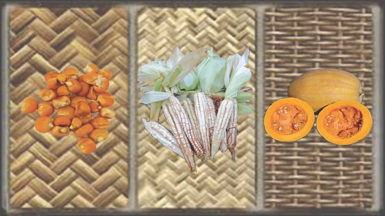 Preservation and Remembrance Choctaw Heirloom Seeds - Choctaw Nation of ...